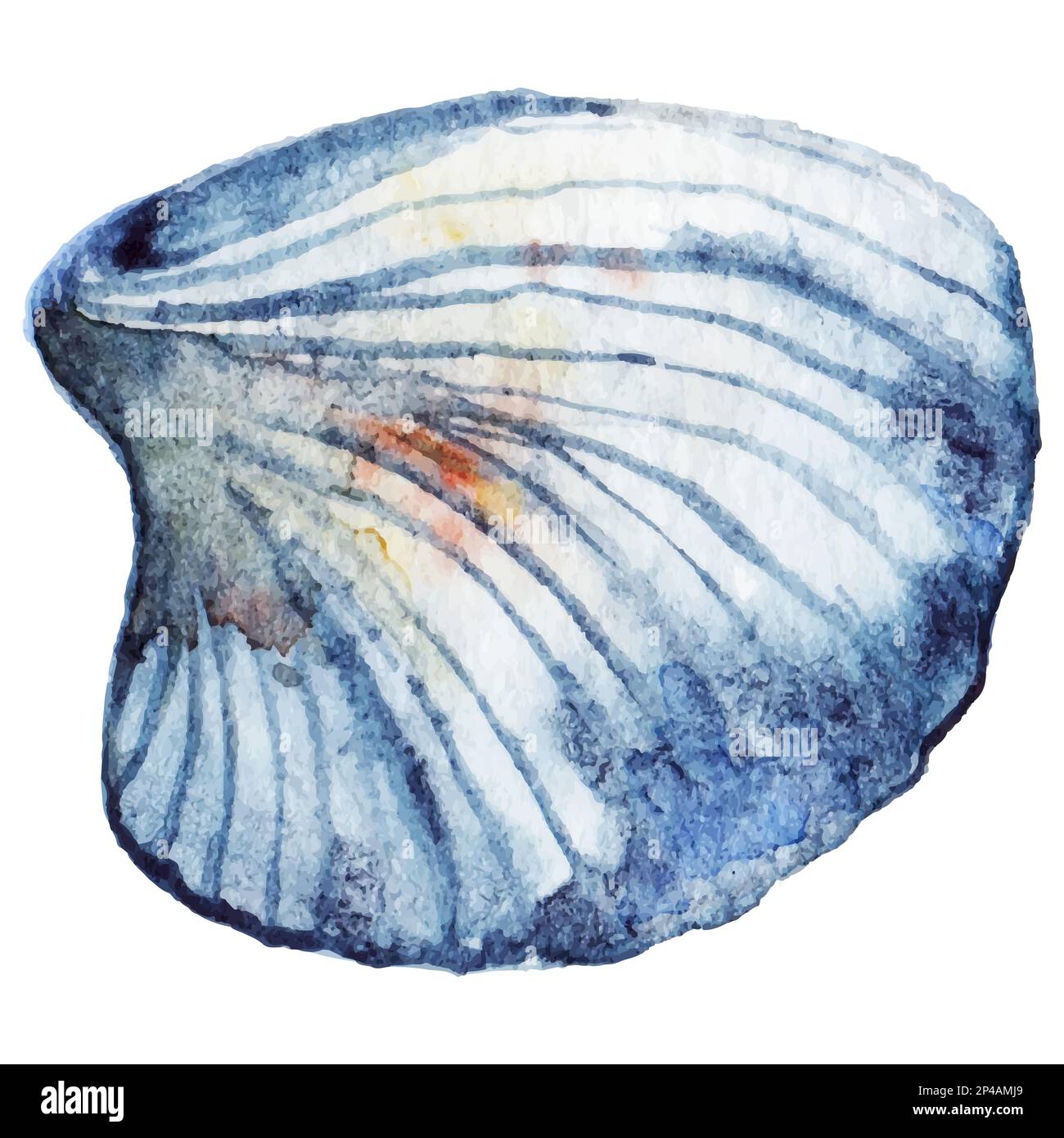 Watercolor sea shell isolated clip art vector Stock Vector Image & Art ...