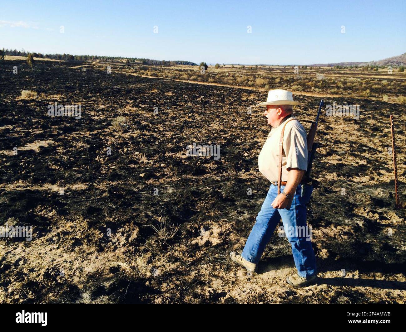 2014 wildfires hi-res stock photography and images - Alamy