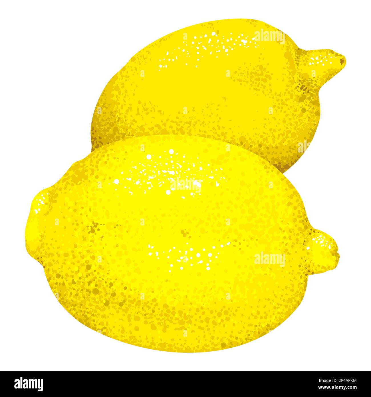Yellow lemon citrus fruit isolated on white background vector art Stock ...