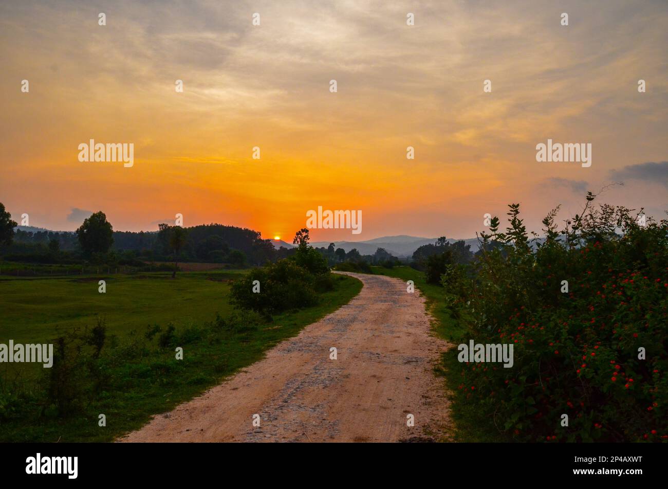 Madikeri hi-res stock photography and images - Alamy