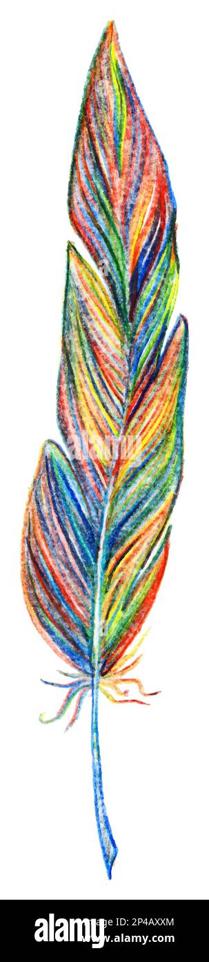 Rainbow colorful bird feather vector single isolated Stock Vector Image ...