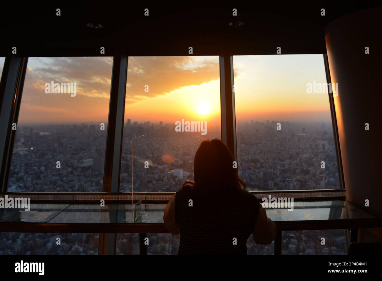 A tourist enjoying the beautiful sunset over Tokyo seen from the ...