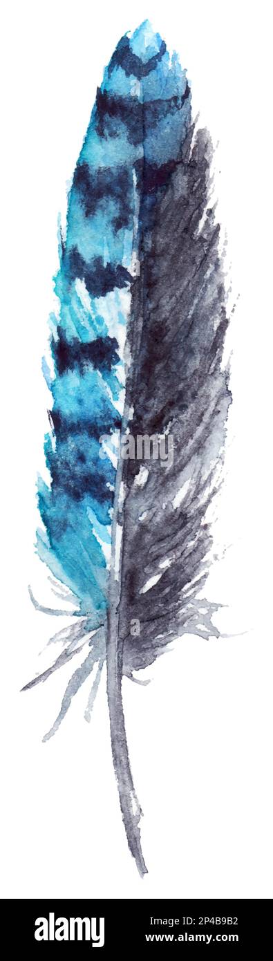 Blue Jay Feather Art