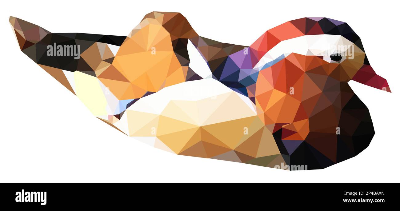 Triangle geometric mandarin duck bird animal isolated vector Stock ...