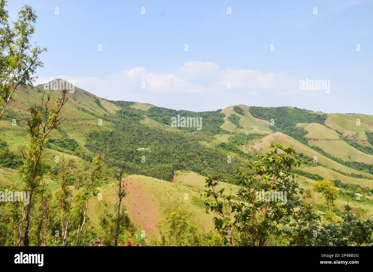 Mullayanagiri range of mountains near Chickmagalur, India Stock Photo ...