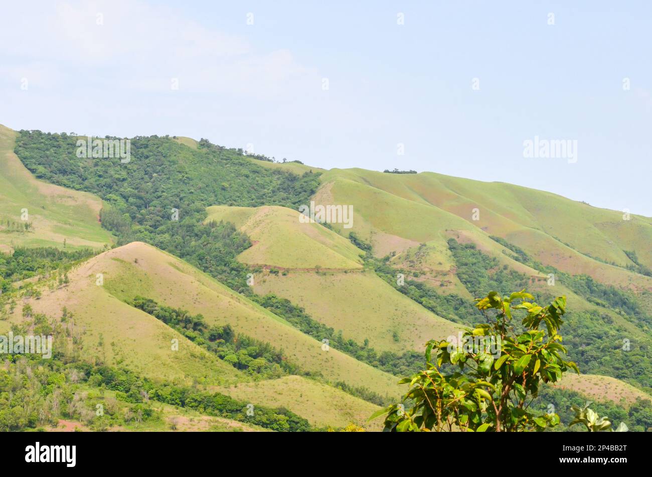 Mullayanagiri range of mountains near Chickmagalur, India Stock Photo ...