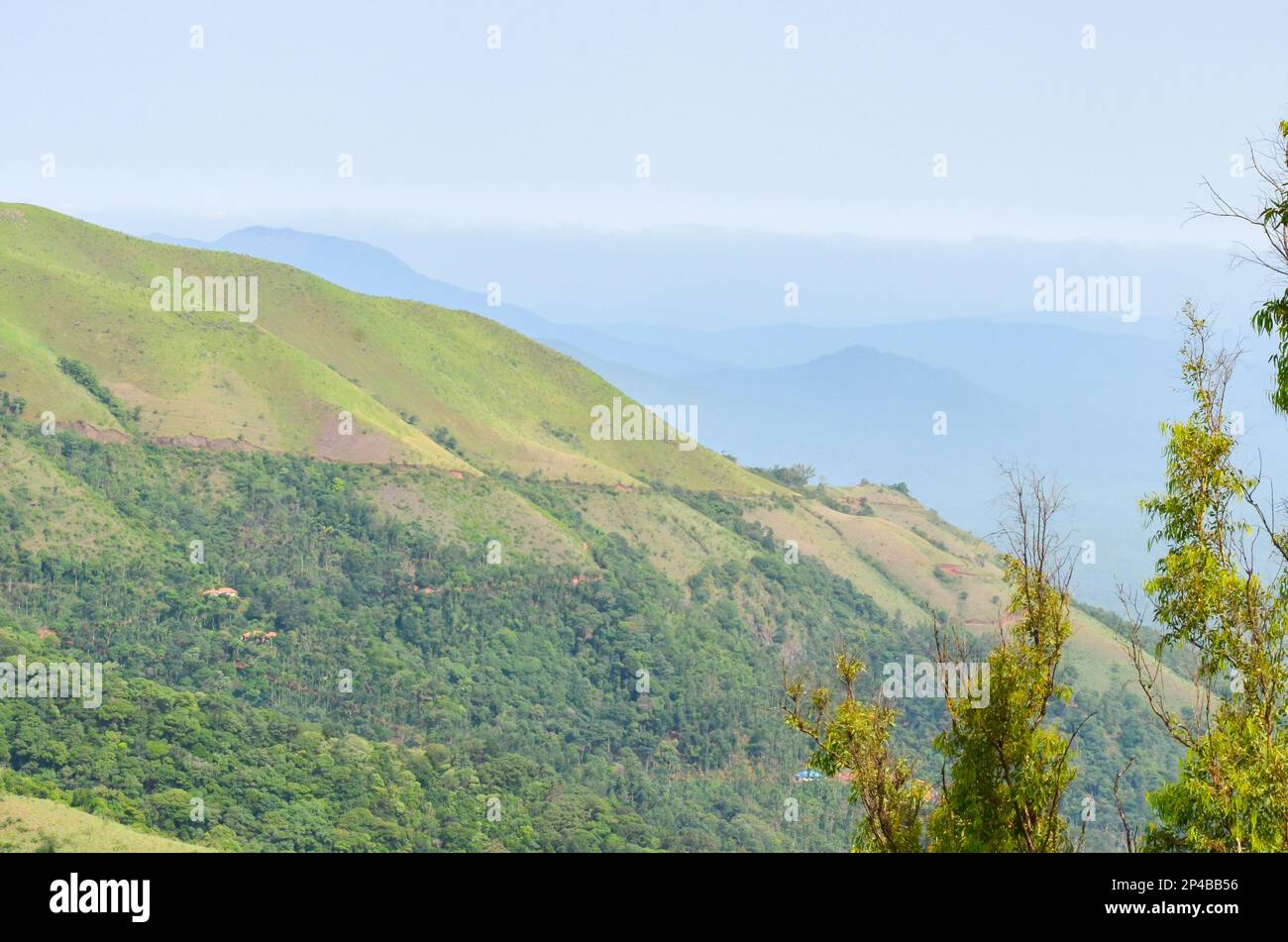 Mullayanagiri range of mountains near Chickmagalur, India Stock Photo ...