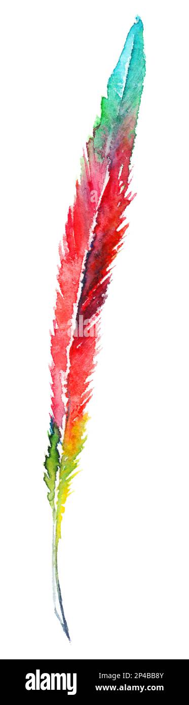 Watercolor colorful rainbow parrot feather vector isolated Stock Vector ...