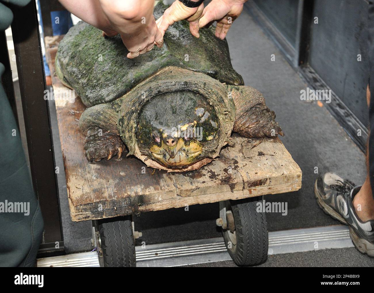 The Museum of Science and History (MOSH) celebrates the birthday of ...