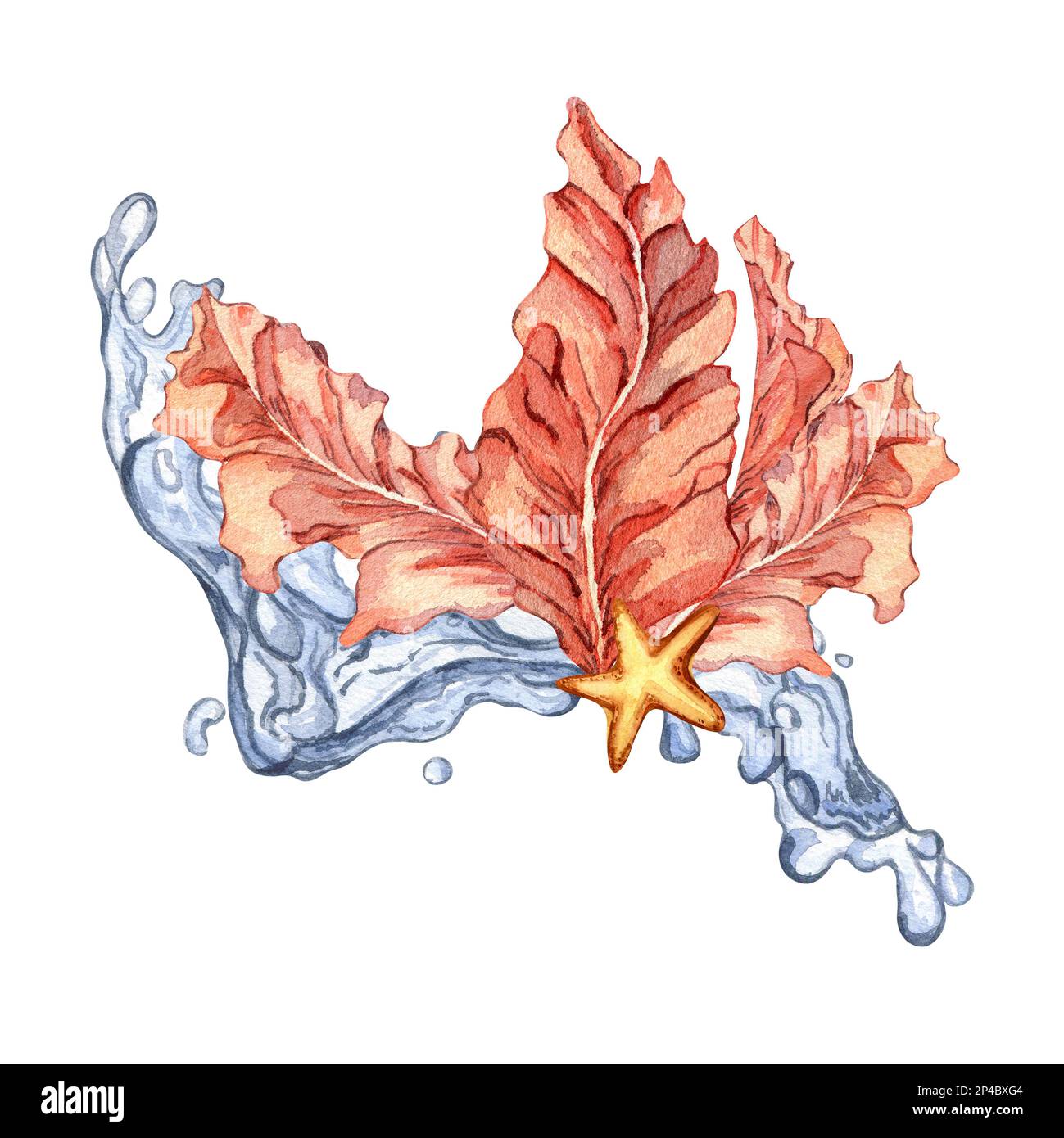 Composition of pink sea plants watercolor illustration isolated on ...