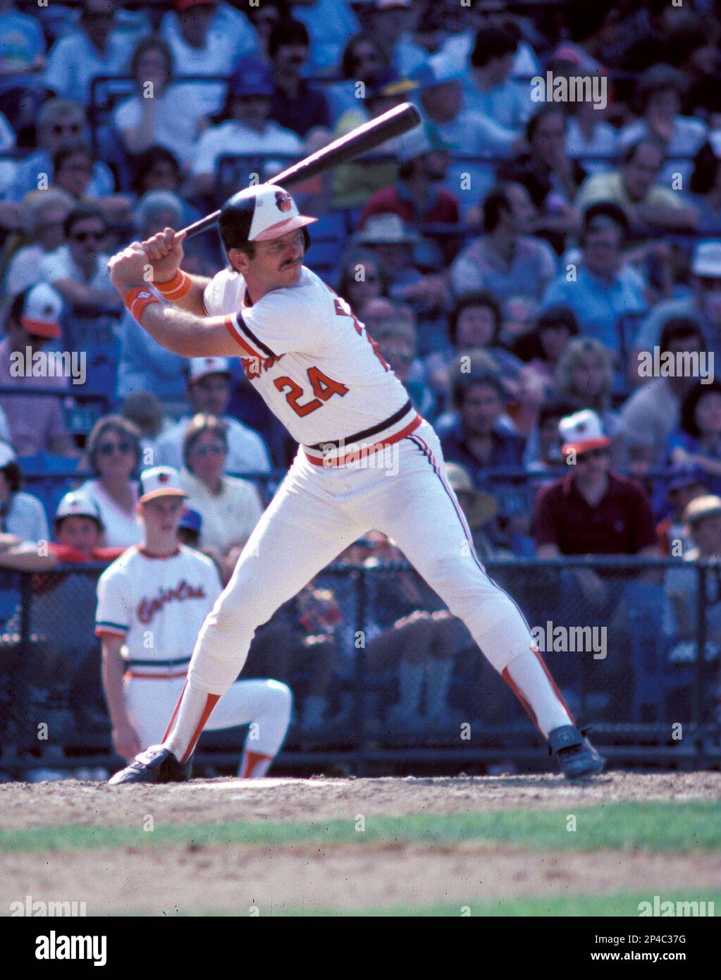 Baltimore Orioles Rick Dempsey (24) in action during a game from 1983 ...