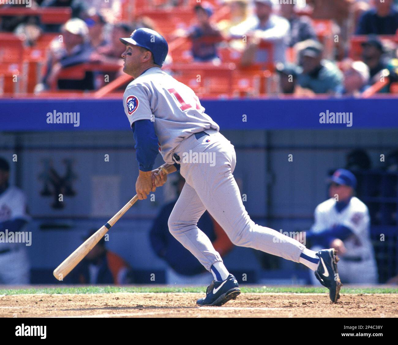 Chicago Cubs Mark Grace (17) in action during a game from the 1994 ...