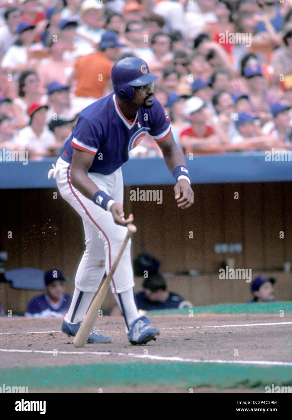 Chicago Cubs Leon Durham (10) in action during a game from the 1985 ...