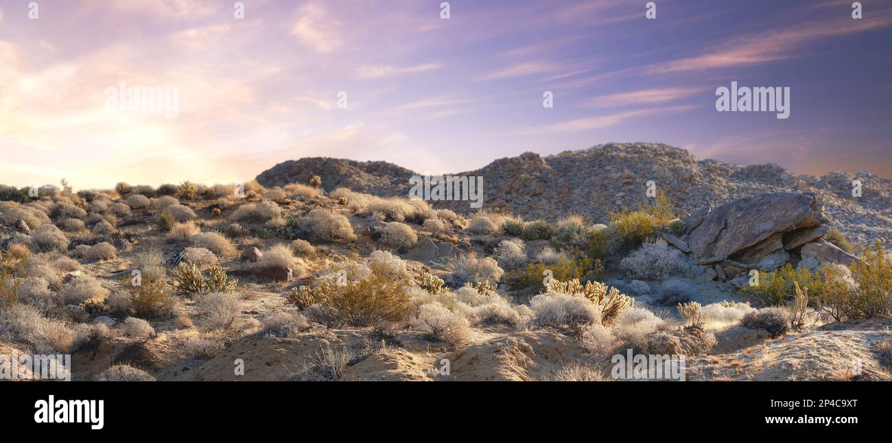Californian desert - Anza-Borrego. Anza-Borrego Desert State Park ...