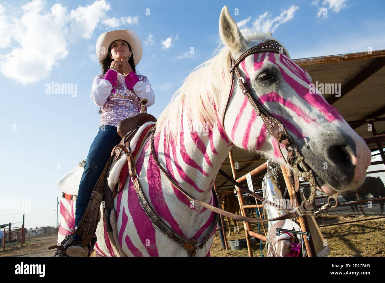 Jennifer Serrano of Pecos and member of theWest Texas Dandies puts on ...