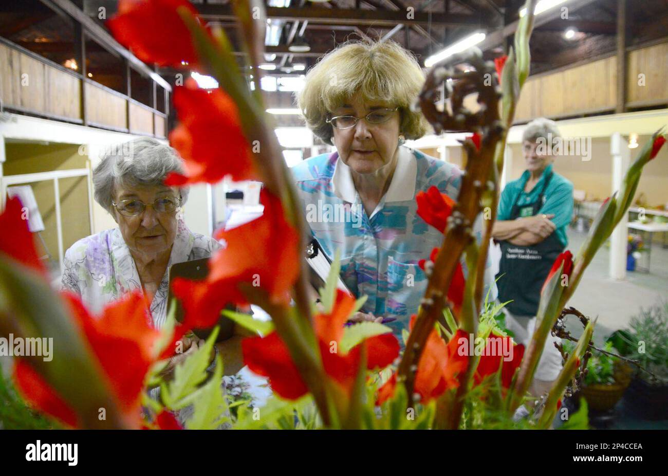 Betty Arnold, left, and Jeanne Nacker,right, certified garden show ...