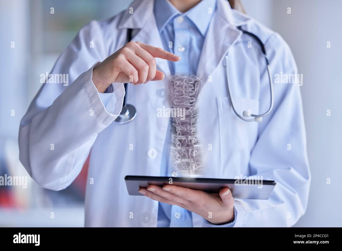 Spine skeleton hologram, doctor and hands with tablet, 3D and ...