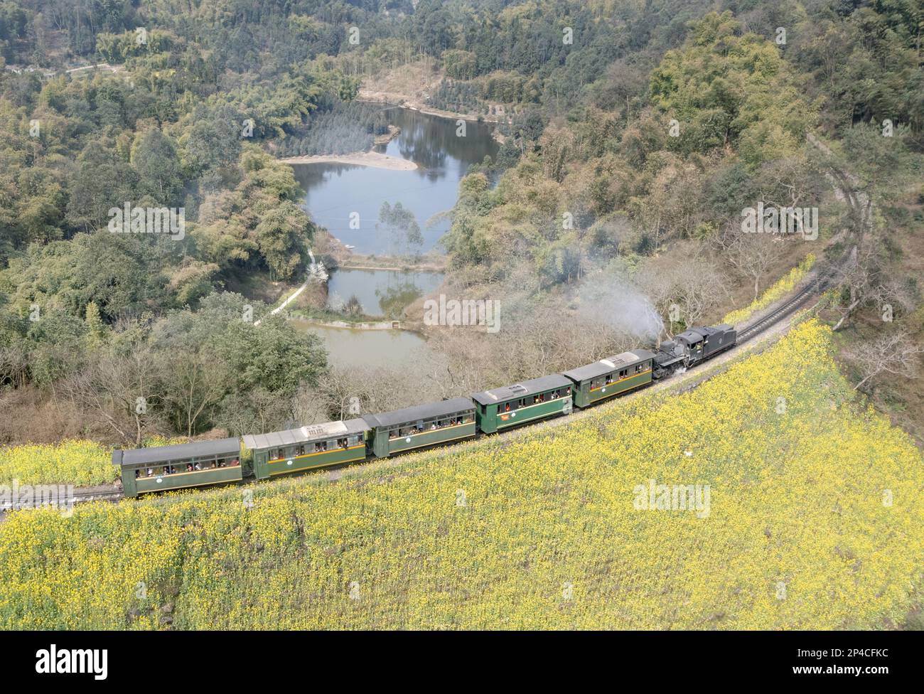 Aerial photo shows the Jiayang’s Train running throuth the flower field ...