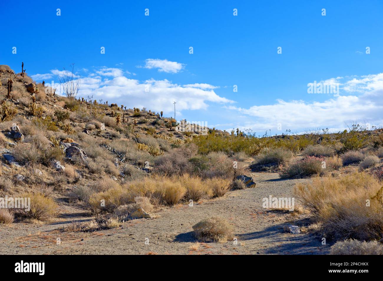 Californian desert - Anza-Borrego. Anza-Borrego Desert State Park ...