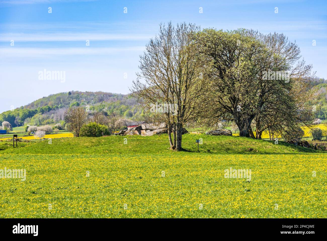 Prehistoric passage tomb burial mound hi-res stock photography and ...