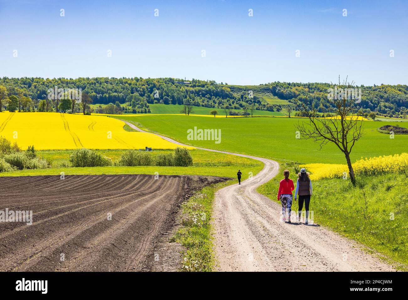 Women walking on a winding road in a rural landscape view Stock Photo ...