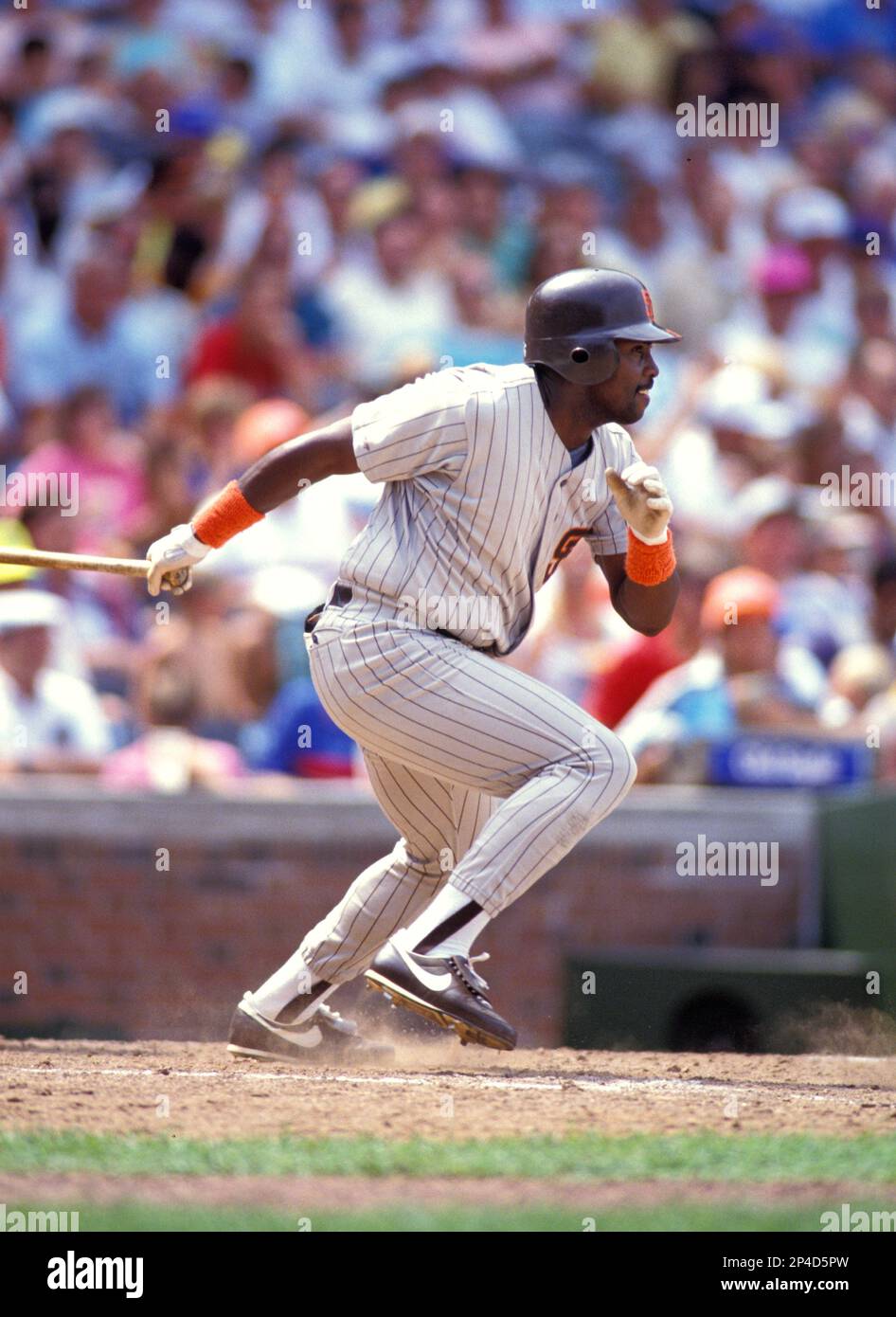 San Diego Padres Tony Gwynn plays in a MLB game against the Chicago ...