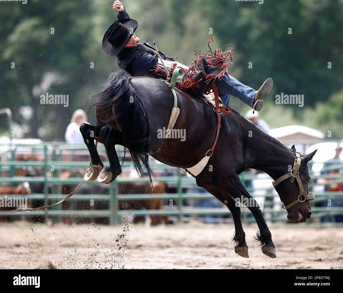 Travis Schwerbel of Terrebonne, Ore. competes in the bareback bronc ...