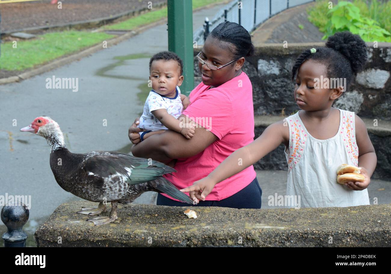 Nadia Hubbard, right, reaches to touch the tail of a duck as Jolita and ...