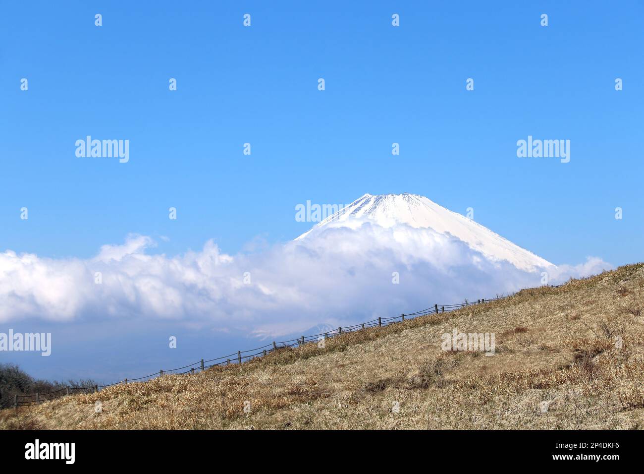 Beautiful sacred Mount Fuji (Fujiyama) in clouds on blue sky background ...