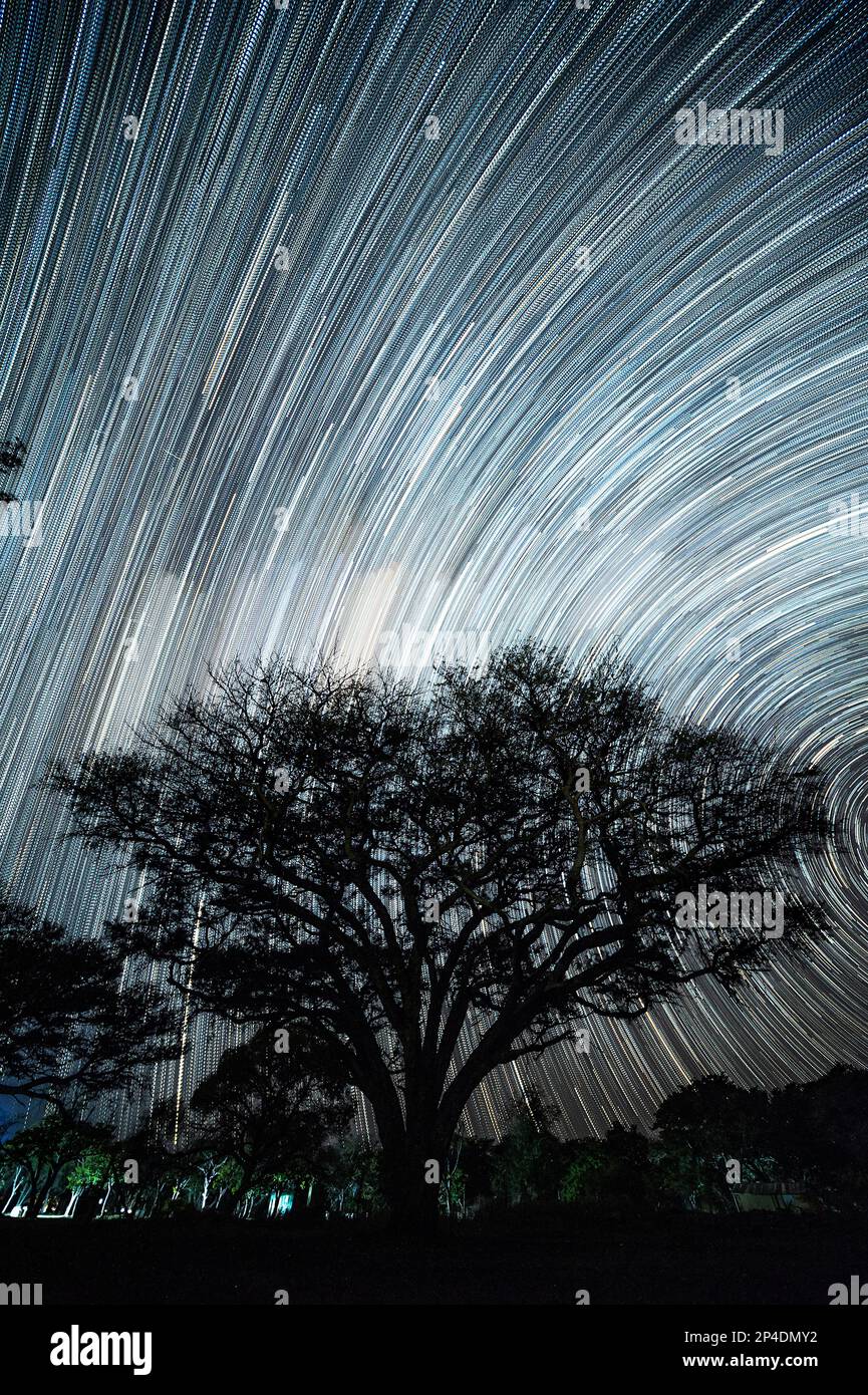 Star moving night time tree hi-res stock photography and images - Alamy
