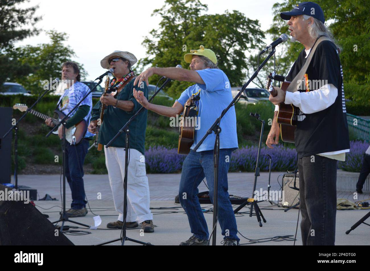 The Banana Slugs String Band performs at Millennium Park in Michigan ...
