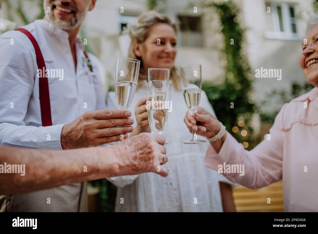 Mature bride and groom toasting with family at wedding reception ...