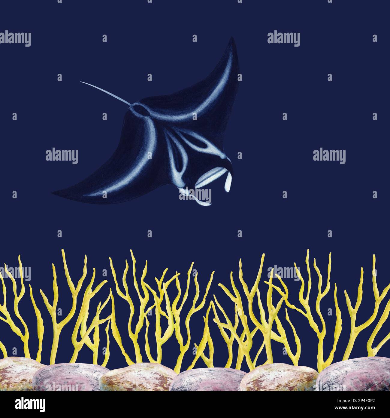 A set of watercolor illustrations manta ray, squid, jellyfish, octopus ...