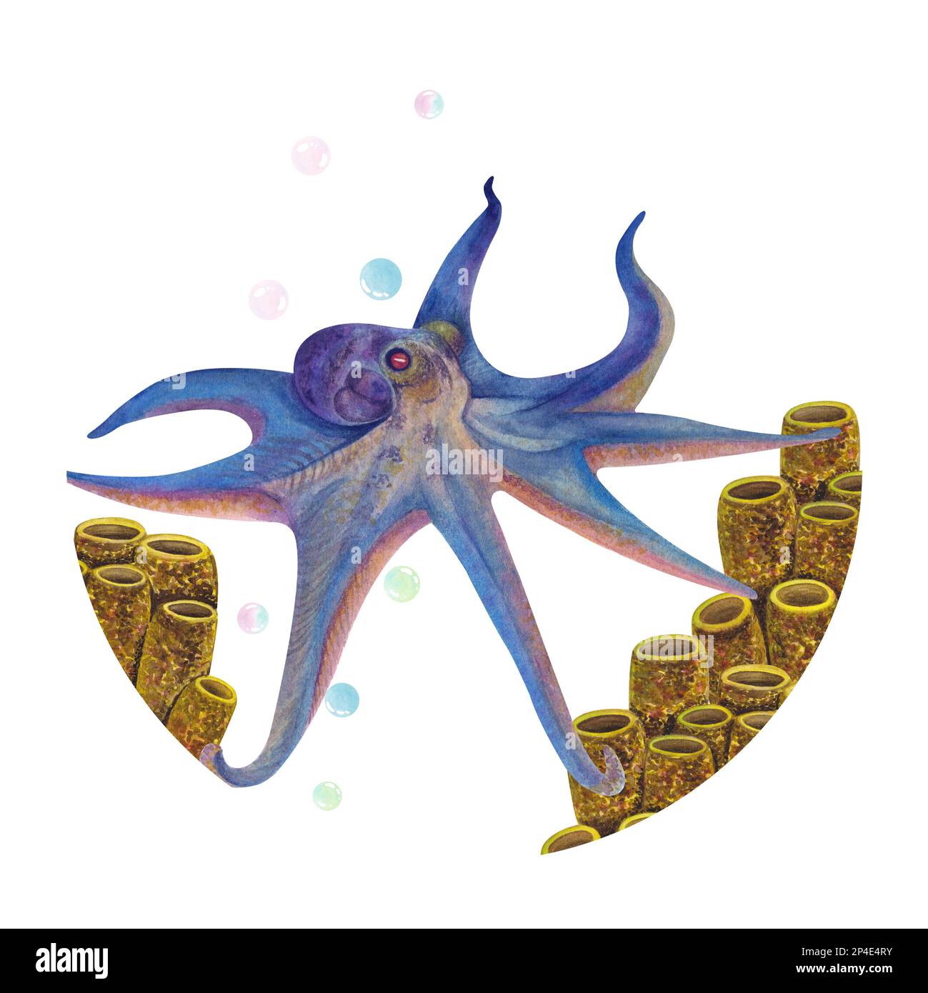 A set of watercolor illustrations manta ray, squid, jellyfish, octopus ...