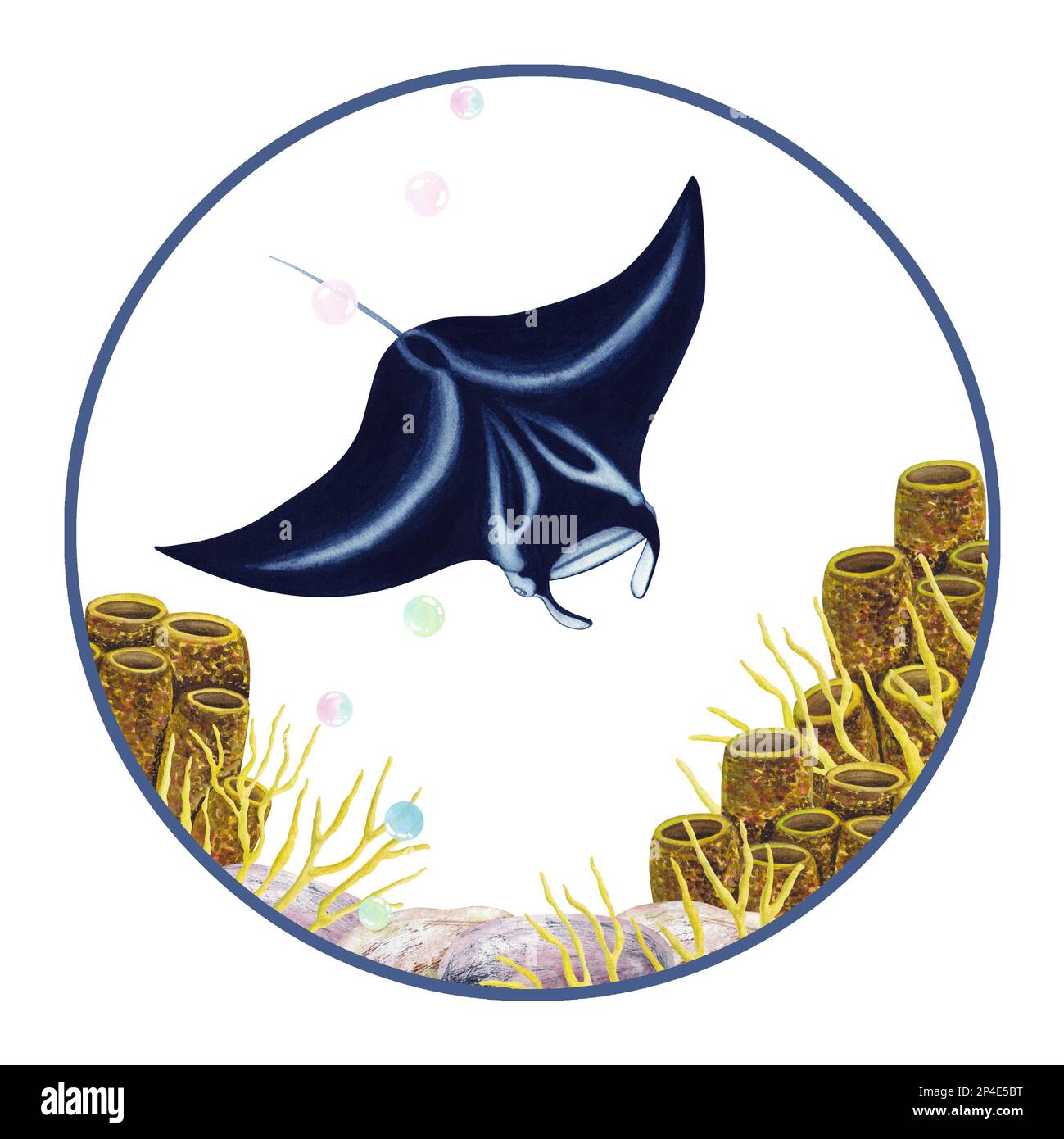 A set of watercolor illustrations manta ray, squid, jellyfish, octopus ...