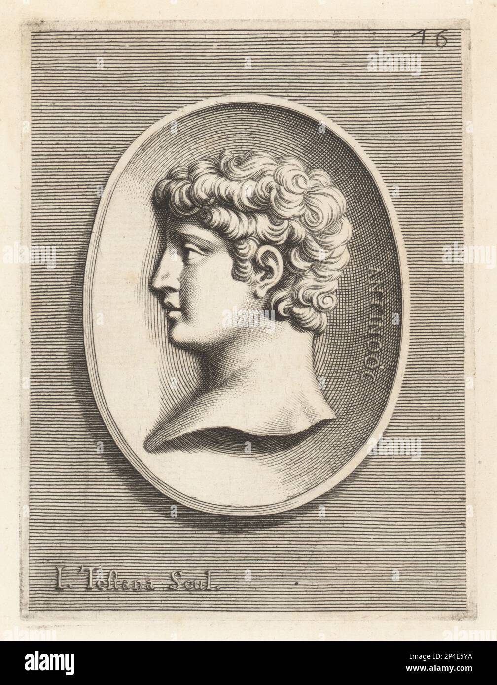 Antinous, also called Antinoos, Greek youth from Bithynia and a ...