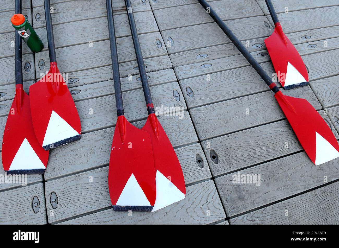 Rowing oars line the dock as students prepare for rowing practice at ...