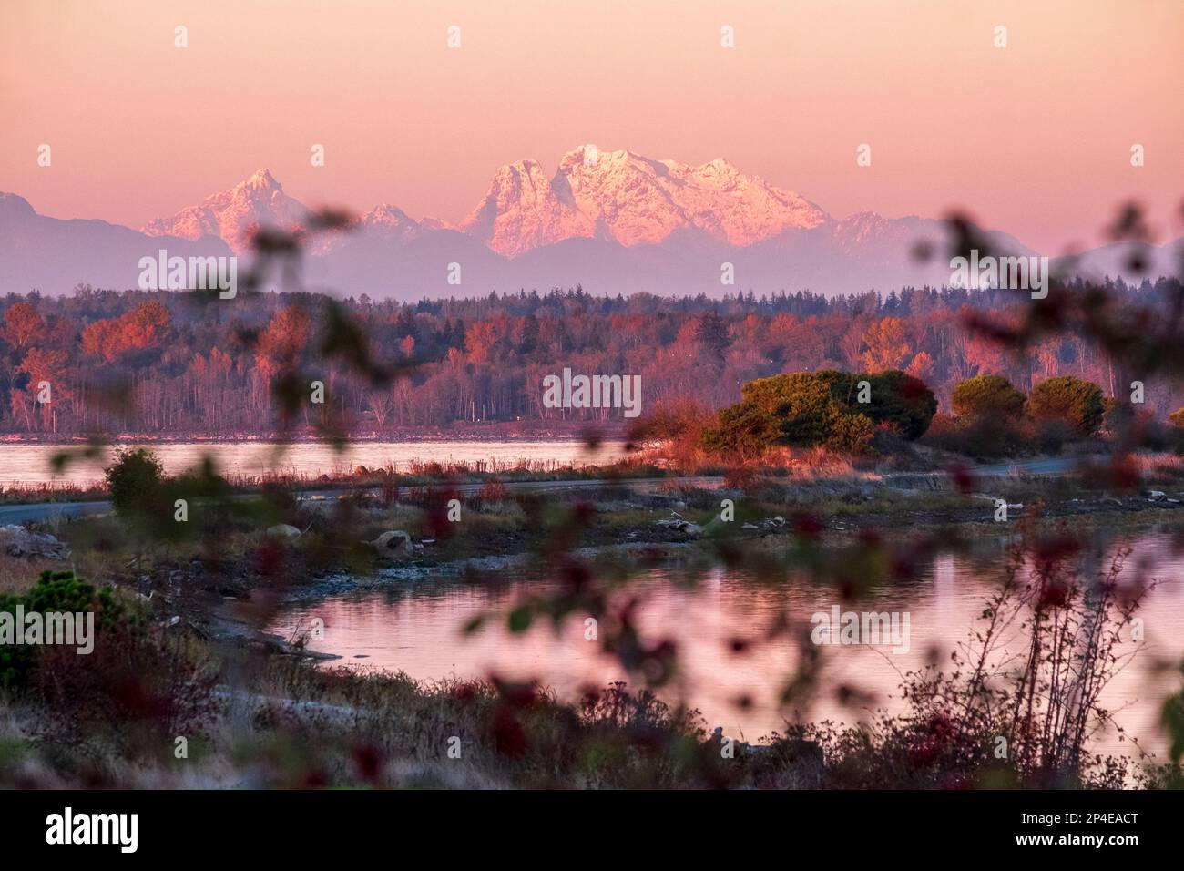 Mount Robie Reid, British Columbia, Canada, on a winter day, seen from ...
