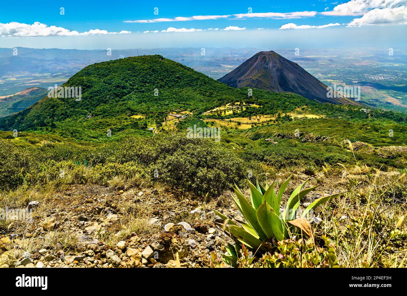Izalco Volcano from Cerro Verde National Park in El Salvador, Central ...