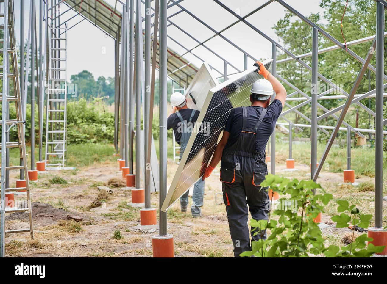 Workers carrying solar panels for installing in field. Back view of men ...