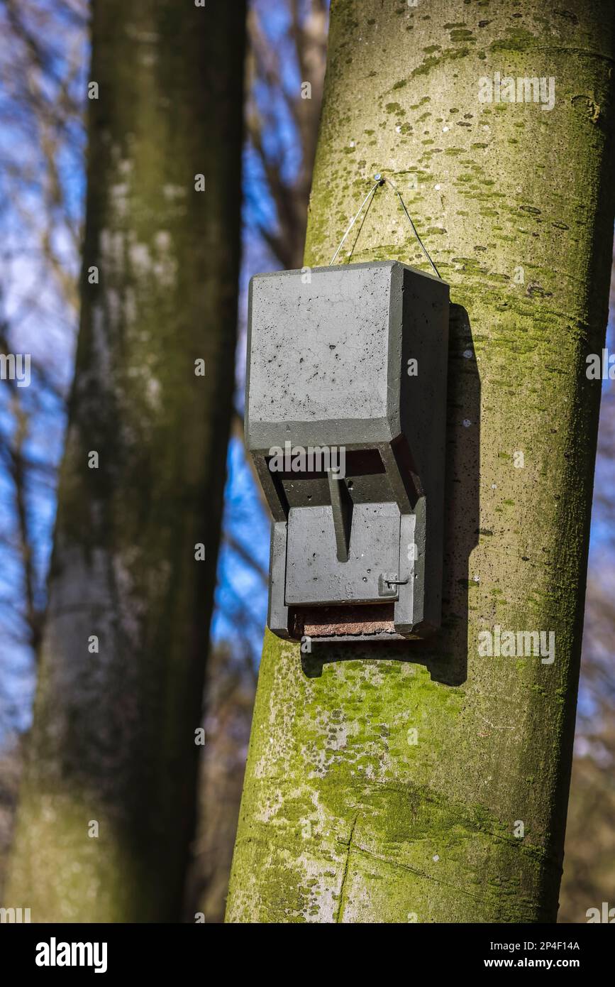 Kropp, Germany. 28th Feb, 2023. A box in which bats hibernate hangs ...