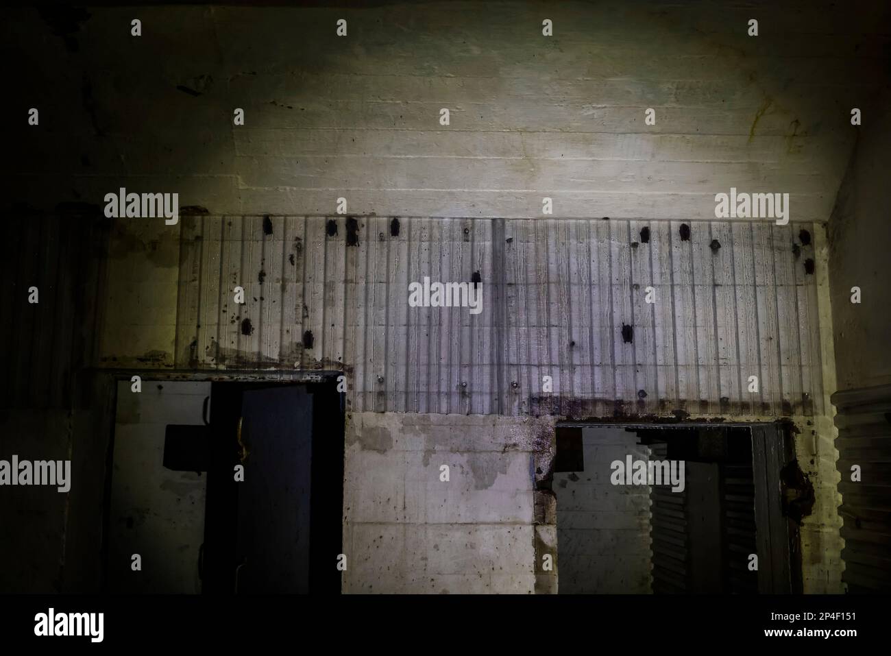 Kropp, Germany. 28th Feb, 2023. Bats hang out behind a plastic screen ...