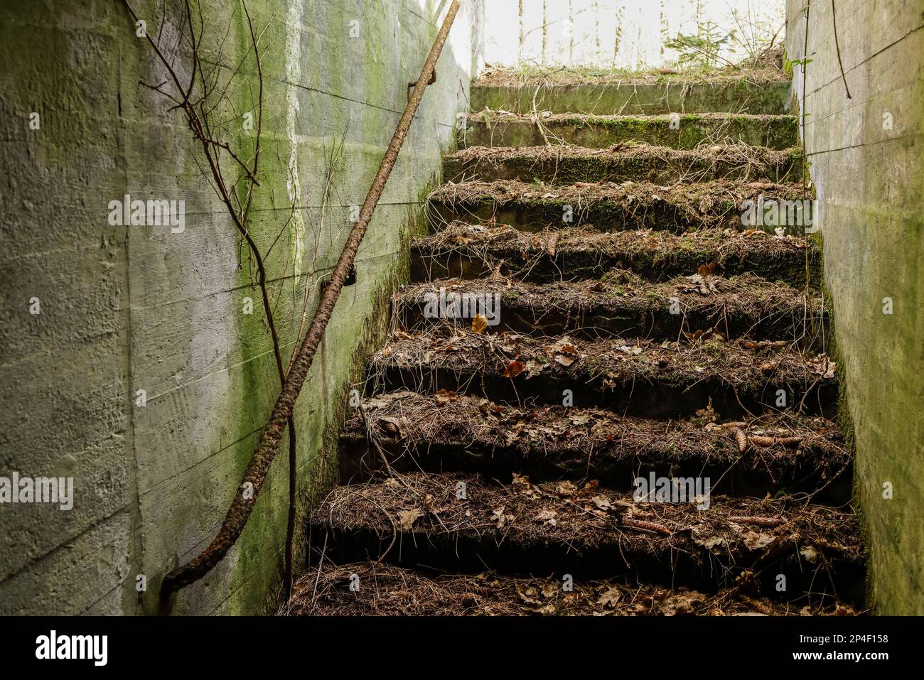 Kropp, Germany. 28th Feb, 2023. A staircase leads to a disused bunker ...