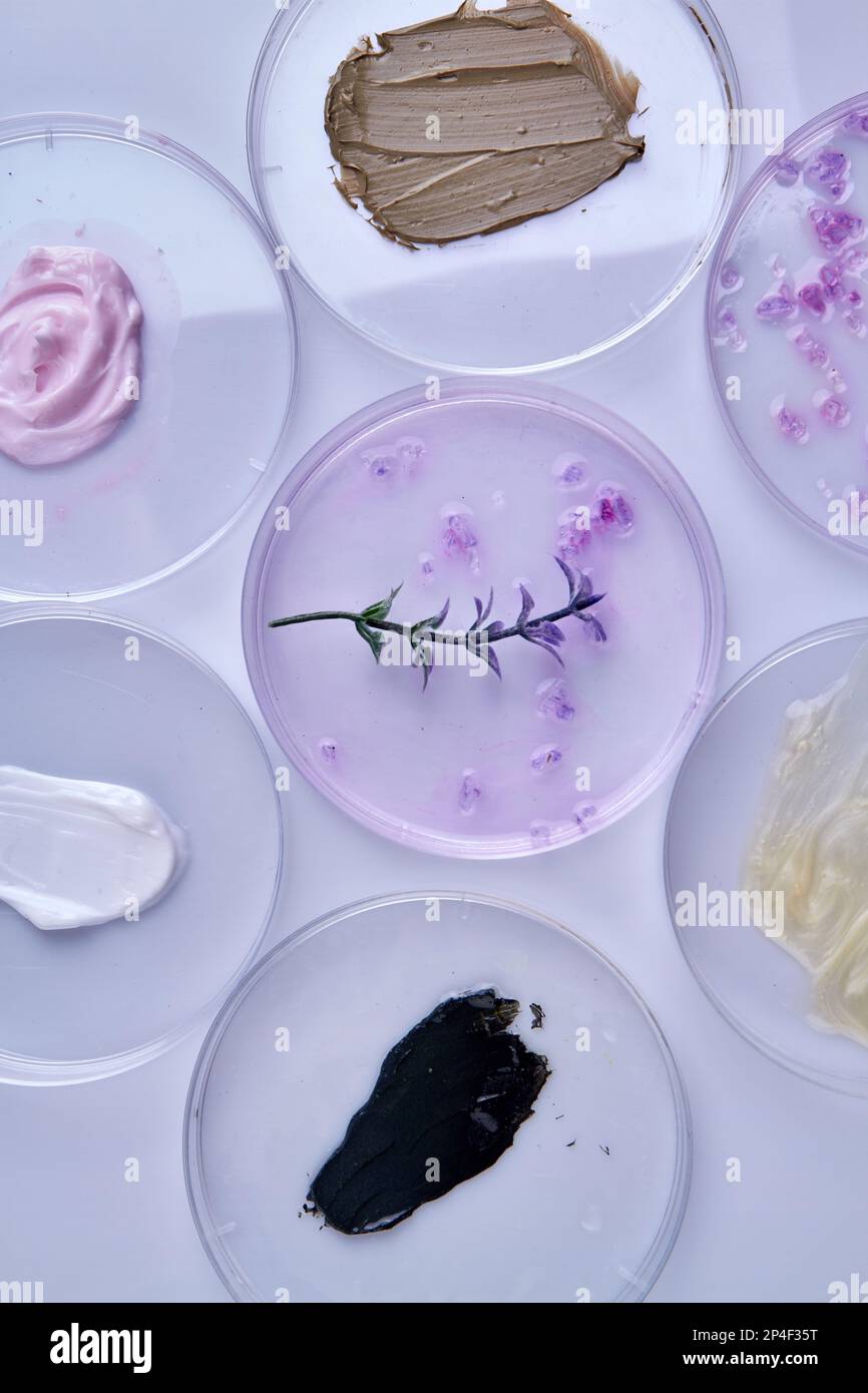 Various samples on natural hi-res stock photography and images - Alamy