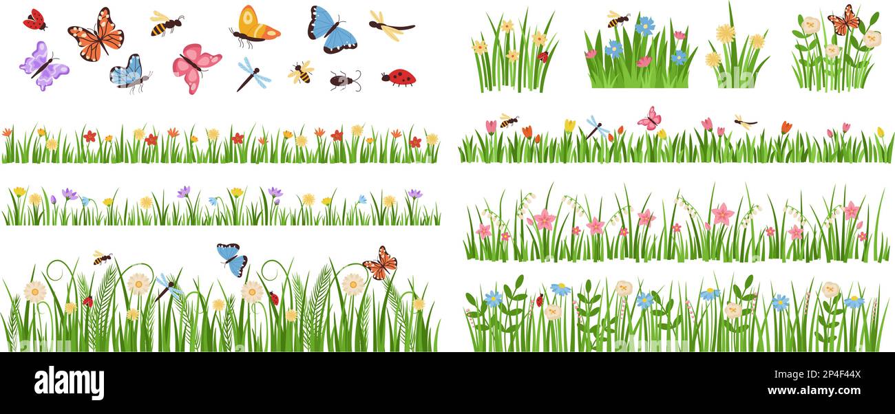 Early spring garden flowers. Forest and garden blooming plants with ...