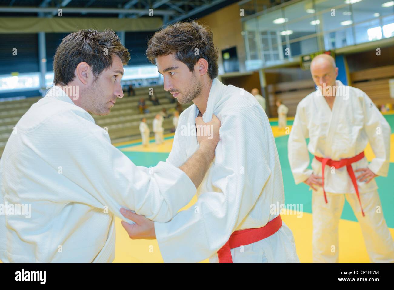 portrait of a judo teacher Stock Photo - Alamy