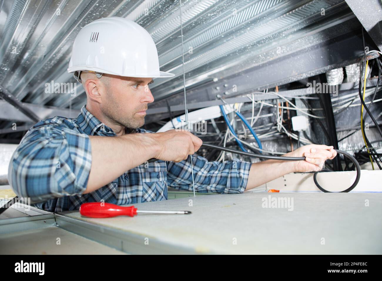 worker making mounting for an electric cable in ceiling Stock Photo - Alamy
