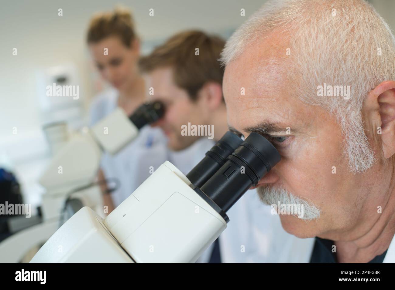 laboratory workers looking into the eyepieces of their microscopes ...