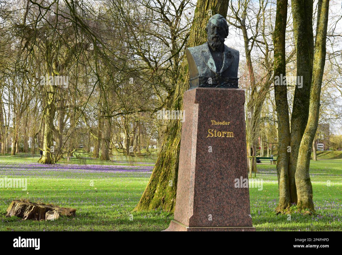 Crocus (Crocus neapolitanus) flower in Husum Castle Park at the ...