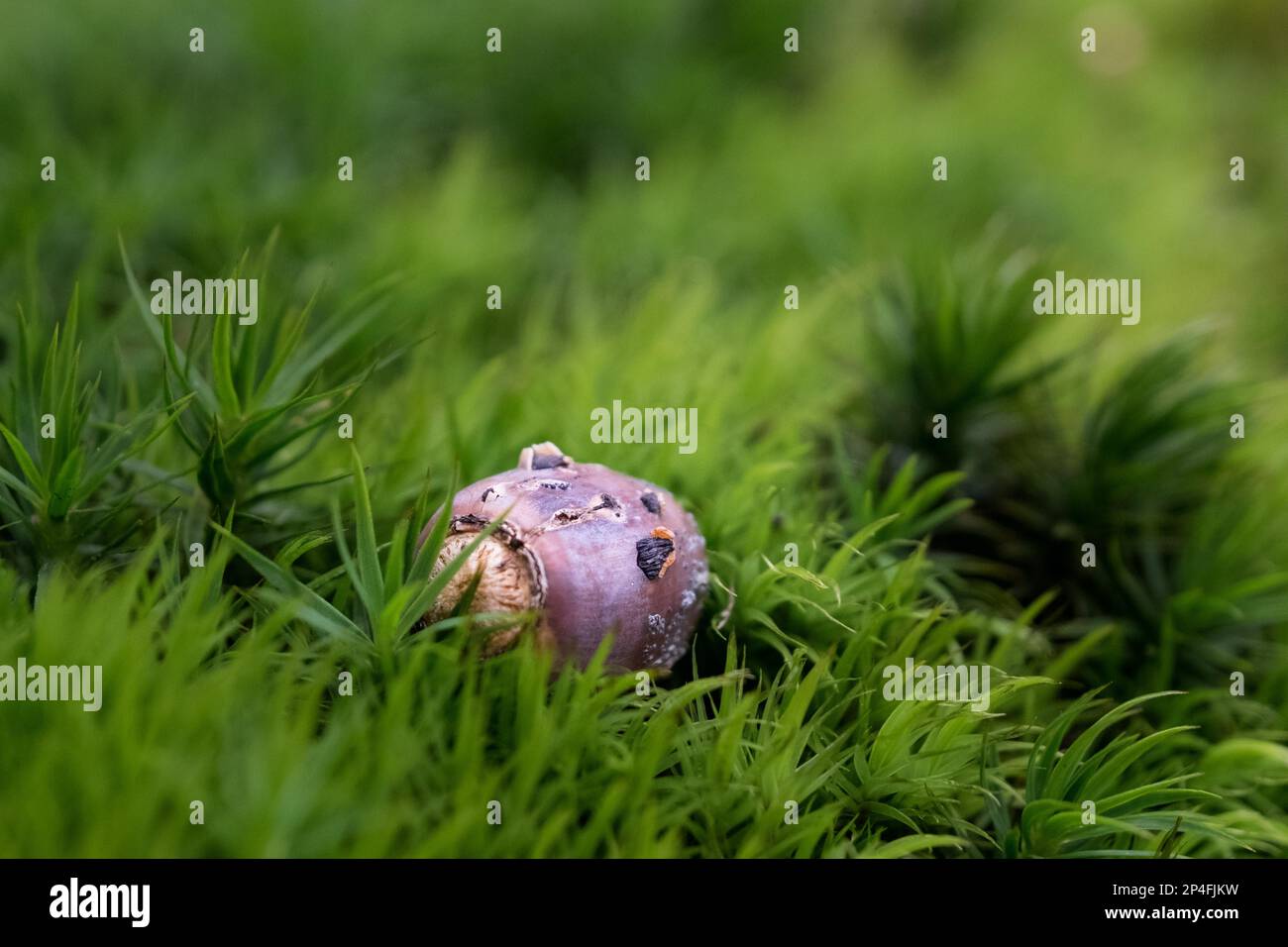 Bodel hi-res stock photography and images - Alamy